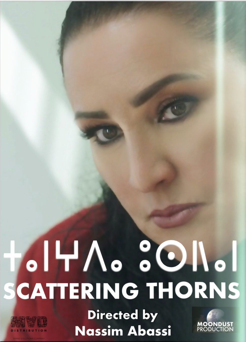 The Day of the Seagull - MAD Distribution Films