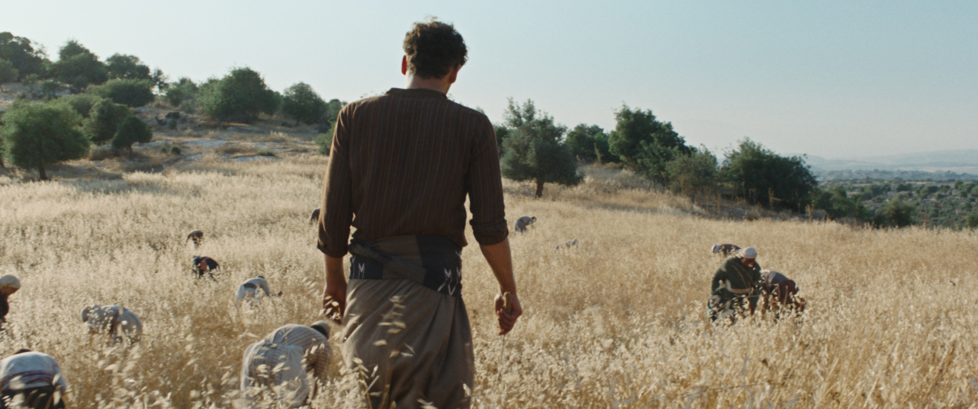 Palestine 36 - MAD Distribution Films